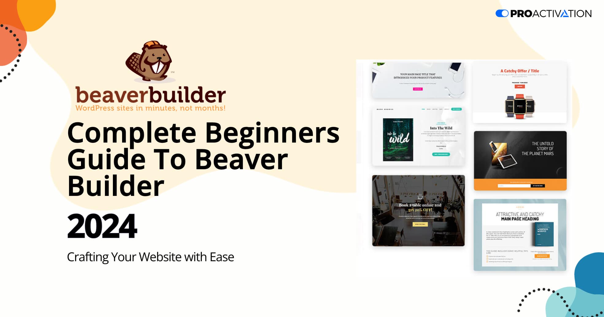 Beaver Builder: A Complete Beginners Guide. | ProActivation