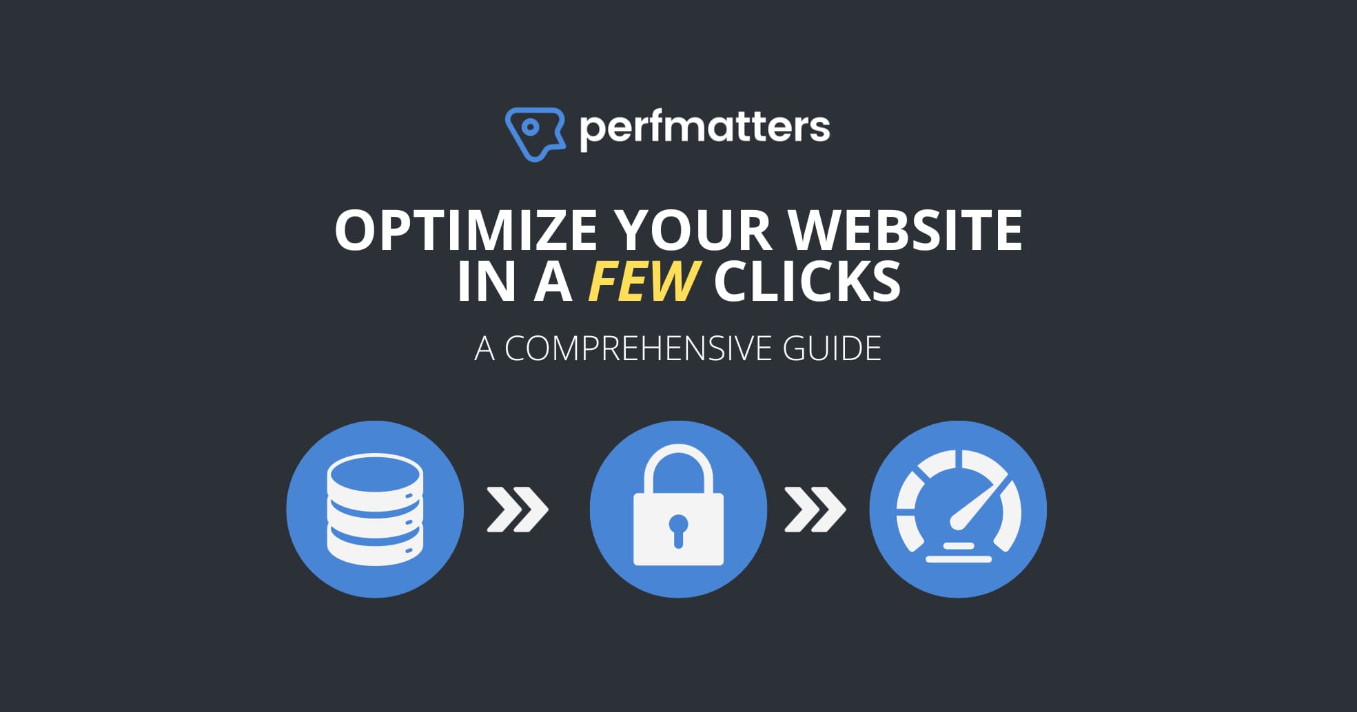 Website Performance Optimization with Perfmatters. | Steps Guide ...