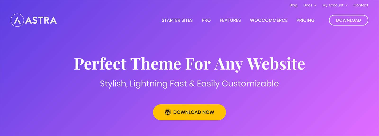 Astra Theme Review in 2024 (Free vs Pro): Select your right fit.